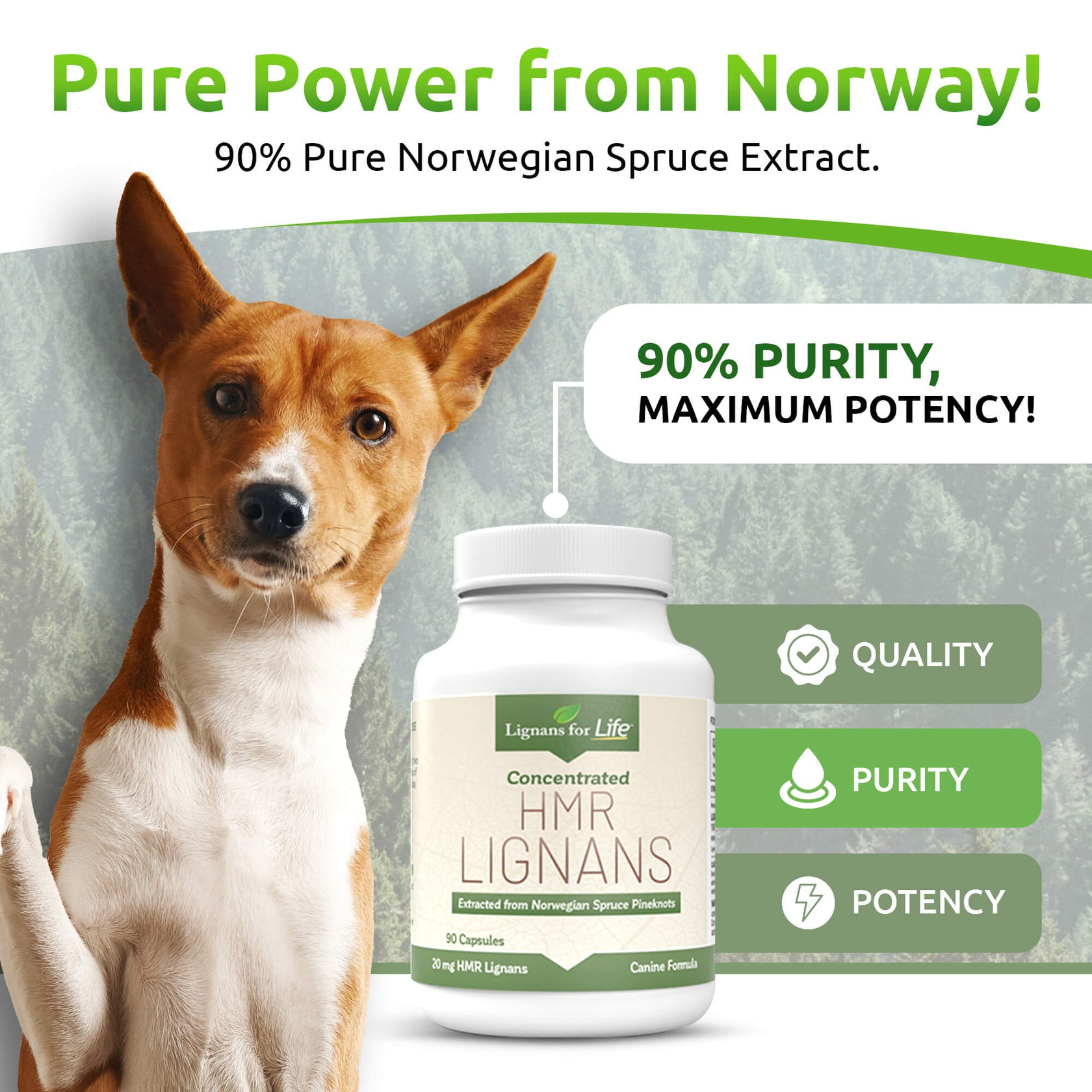 Buy HMR Lignans 20mg For Dogs | Lignans For Life | Buy Lignans Online