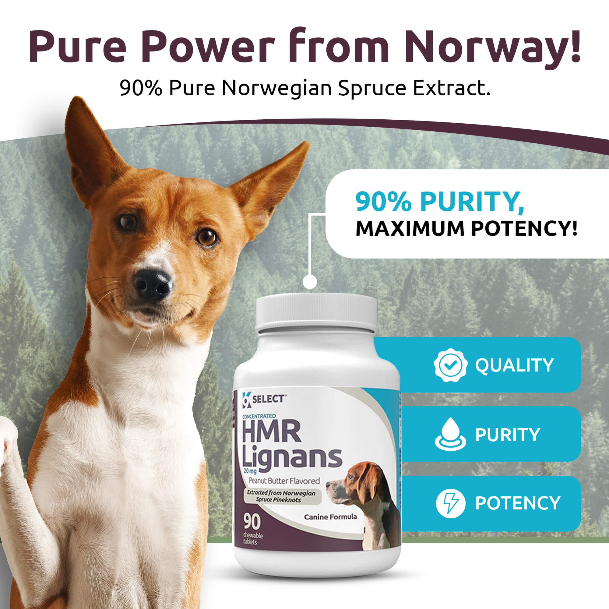 Buy K9 Select HMR Lignans 20mg For Dogs - Peanut Butter Flavor ...