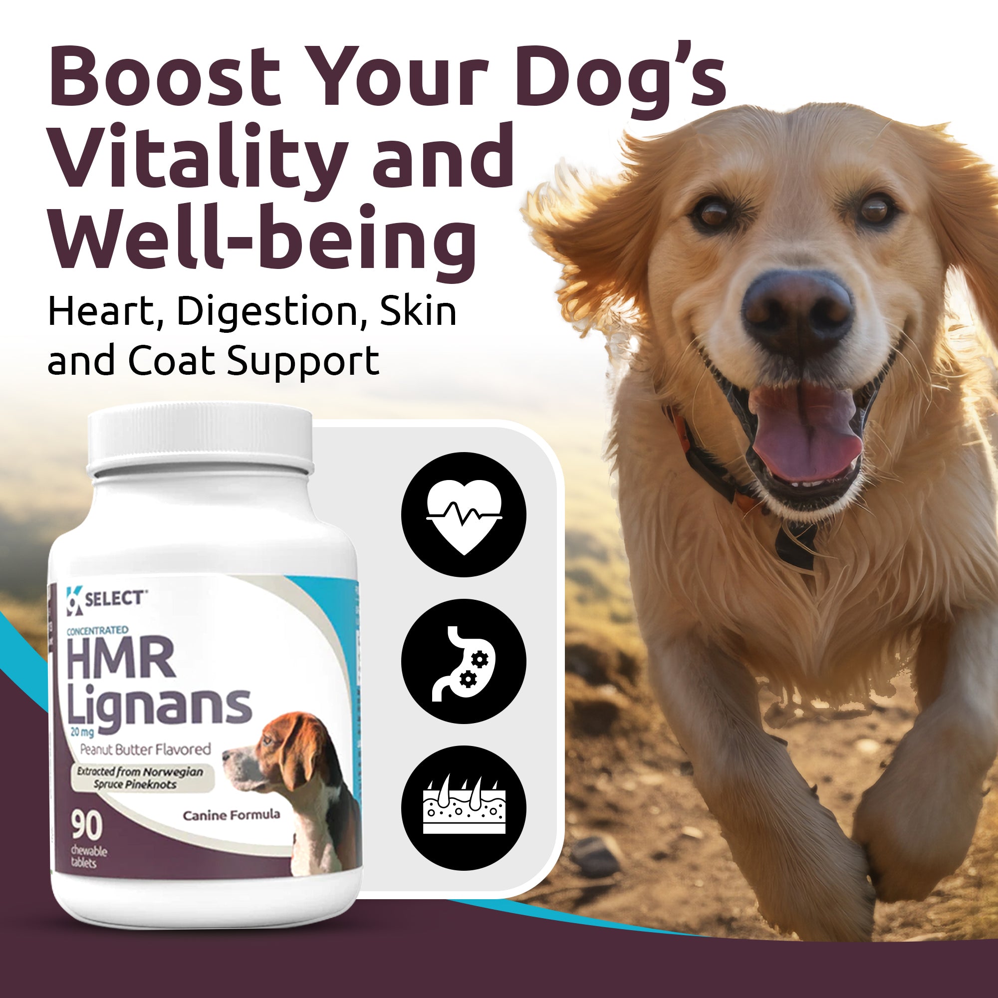 Buy K9 Select HMR Lignans 20mg For Dogs - Peanut Butter Flavor ...