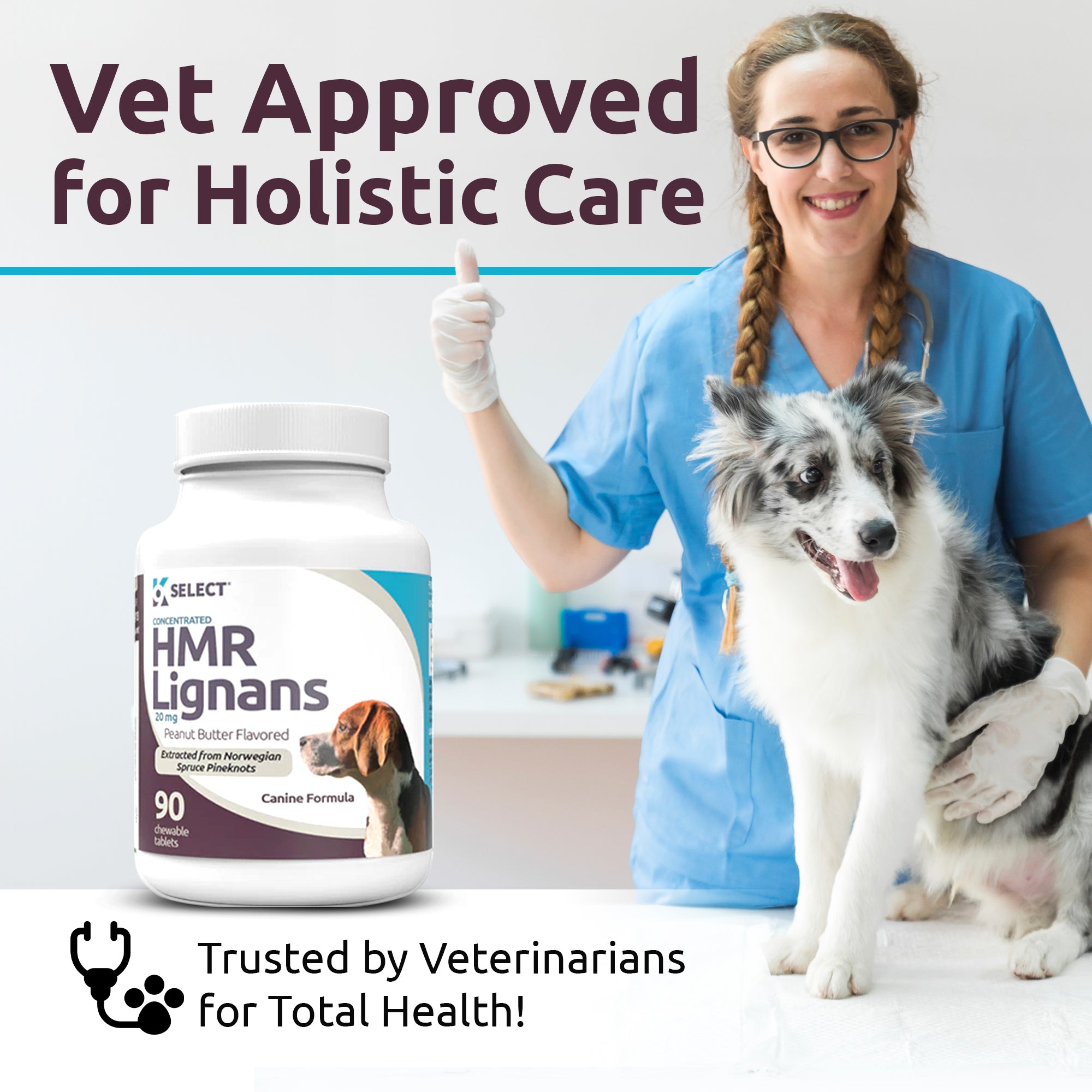 Buy K9 Select HMR Lignans 20mg For Dogs - Peanut Butter Flavor ...