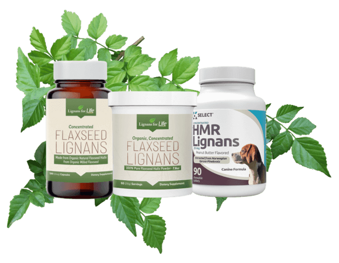 Product Information | Lignans Benefits | Lignans For Life