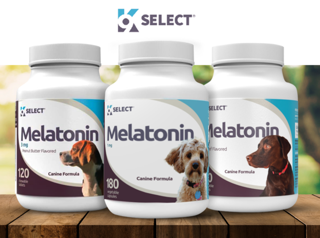 What are Lignans? Health Benefits, Sources, and More