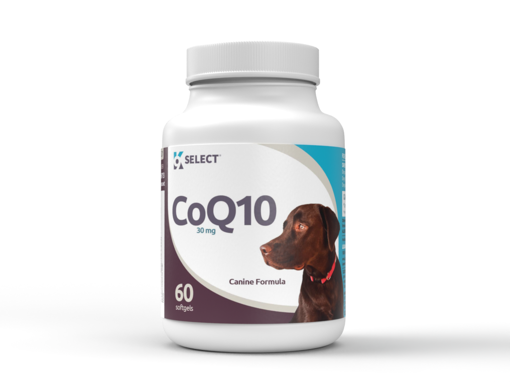 Buy K9 Select CoQ10 10mg For Dogs | Lignans For Life | Buy Lignans Online